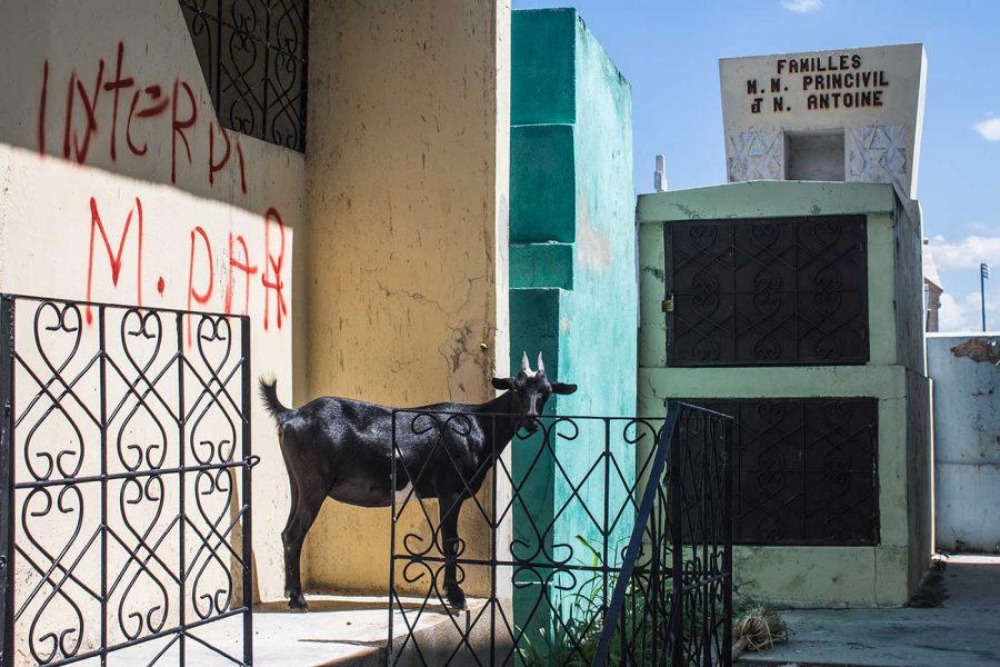 Encountering Haitian Vodou: Le Grand Cimetière of Port-au-Prince | Ex ...