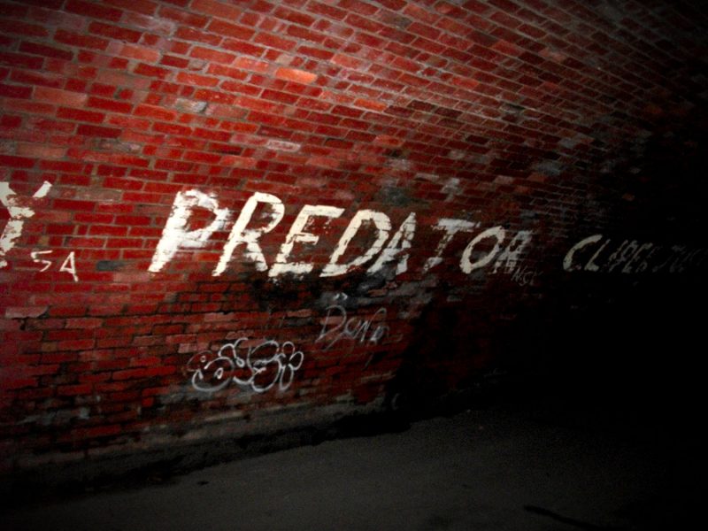 Looking for the Cave Clan in Melbourne’s ANZAC Drain | Ex Utopia