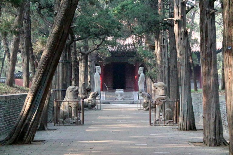 Cemetery of the Greatest Sage: Searching for the Tomb of Confucius - Ex ...